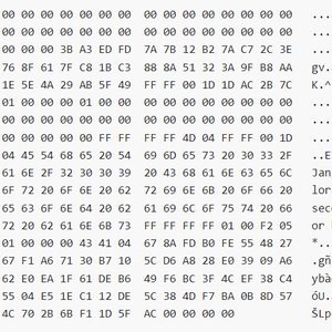 Raw Hex Version of Bitcoin Genesis Block